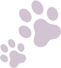 The Paw Club | Leading dog boarding and pet care service | Premium ...